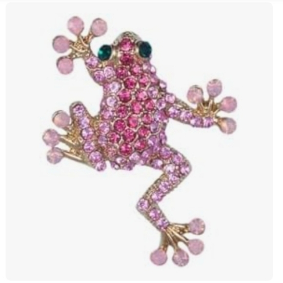 Jewelry | Pink Crystal Frog Brooch | Poshmark
